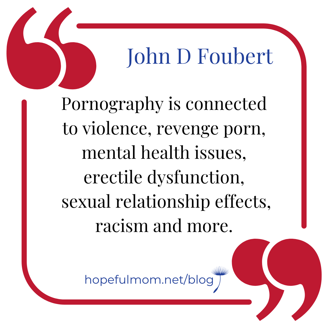 John D Foubert - Is Porn Bad? - HOPEFUL MOM